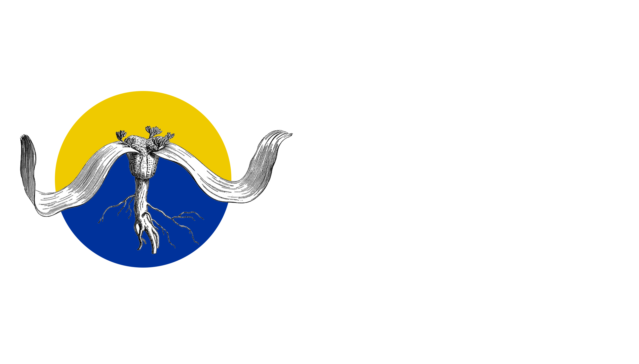 Participatory Democracy EPDN